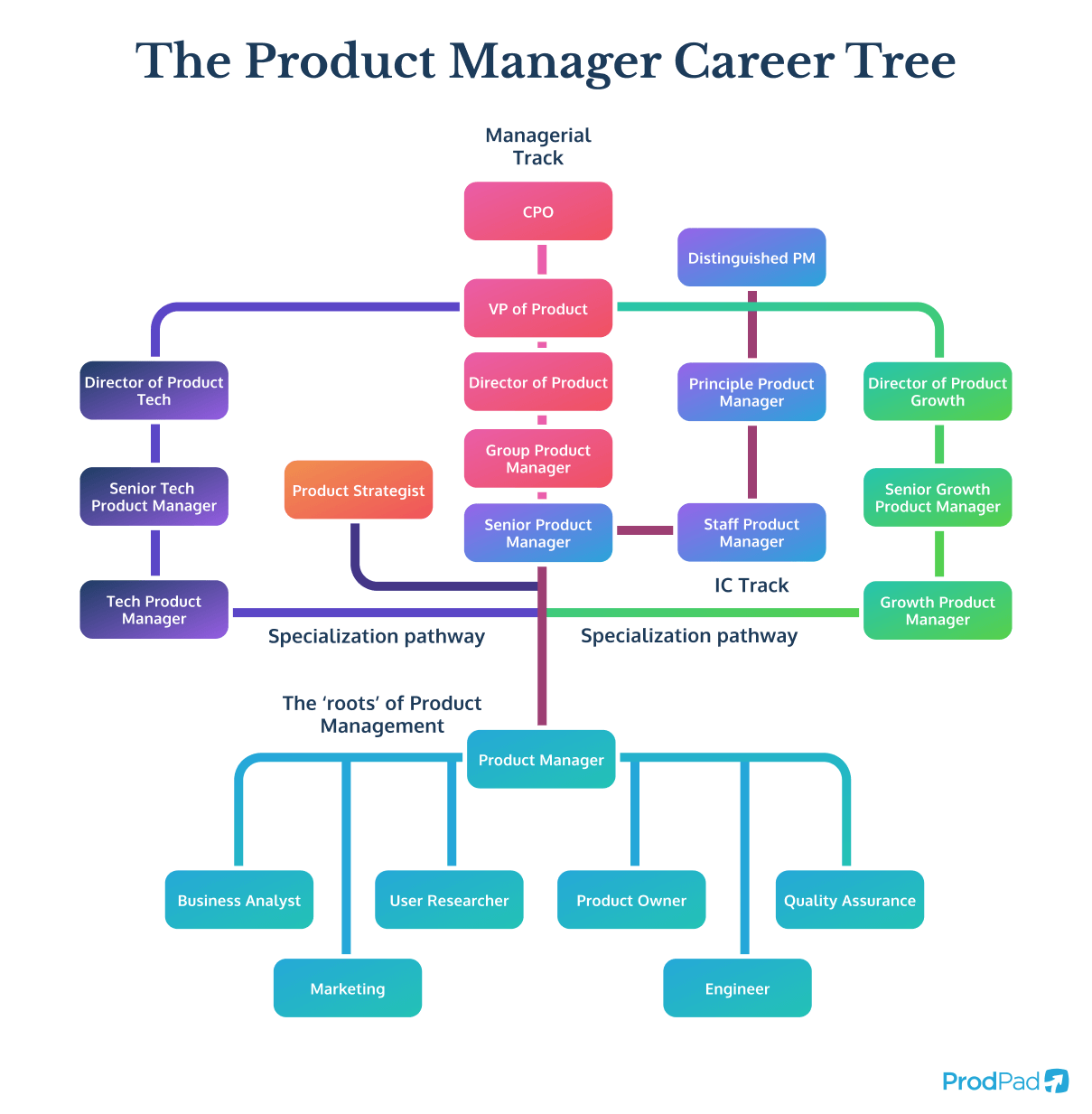 The Product Manager Career Path is Not a Straight Line | ProdPad